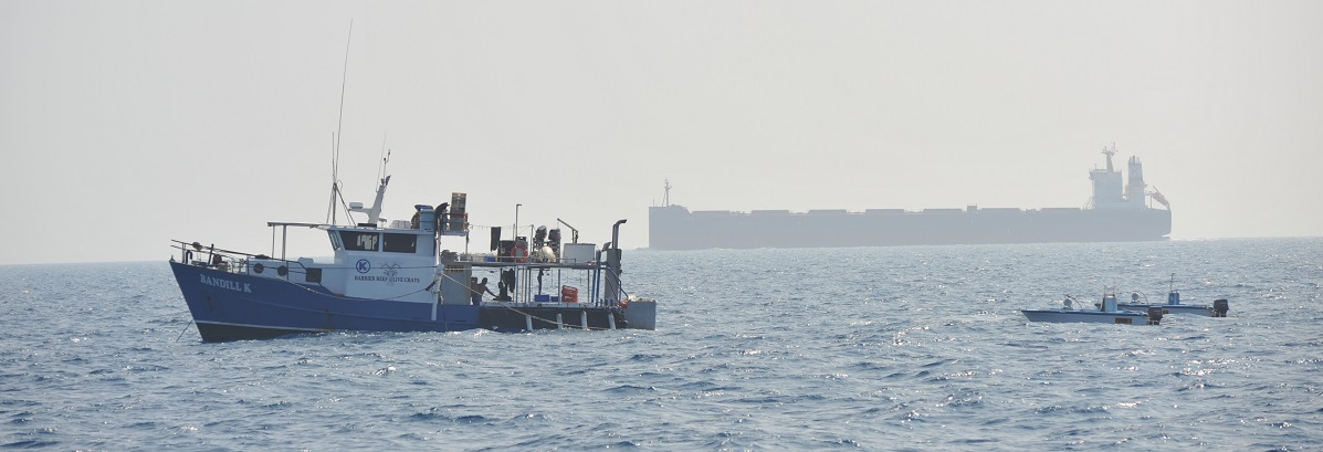 File | Australian Maritime Safety Authority