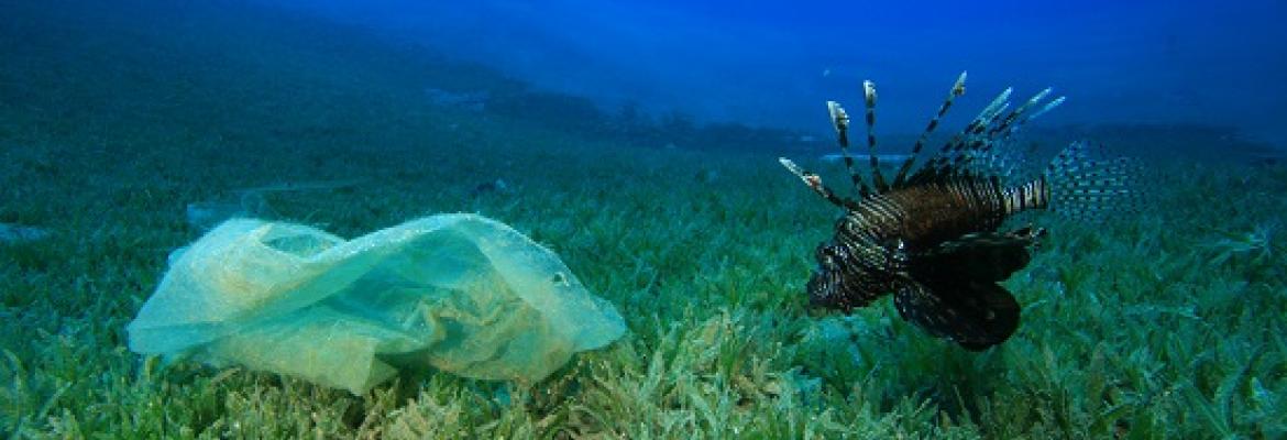 New global garbage record book requirements | Australian Maritime Safety Authority